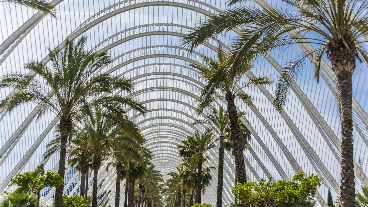 Valencia, la ciudad de las Fallas