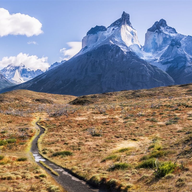 Patagonia