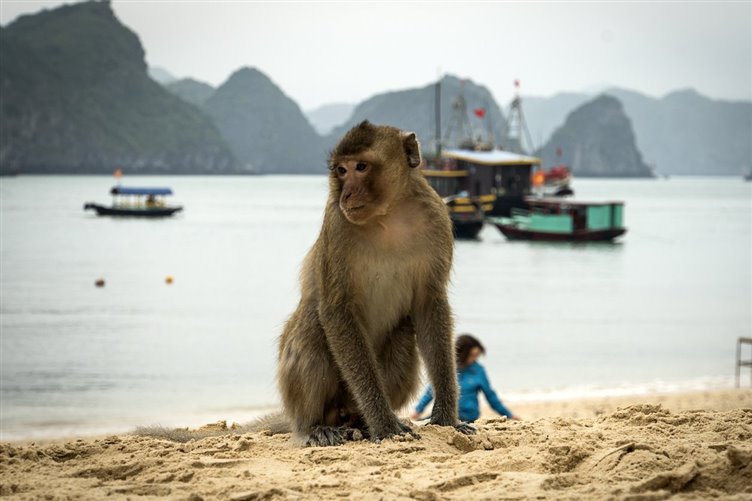 Lang Ha, la mejor alternativa a la bahía de Ha Long