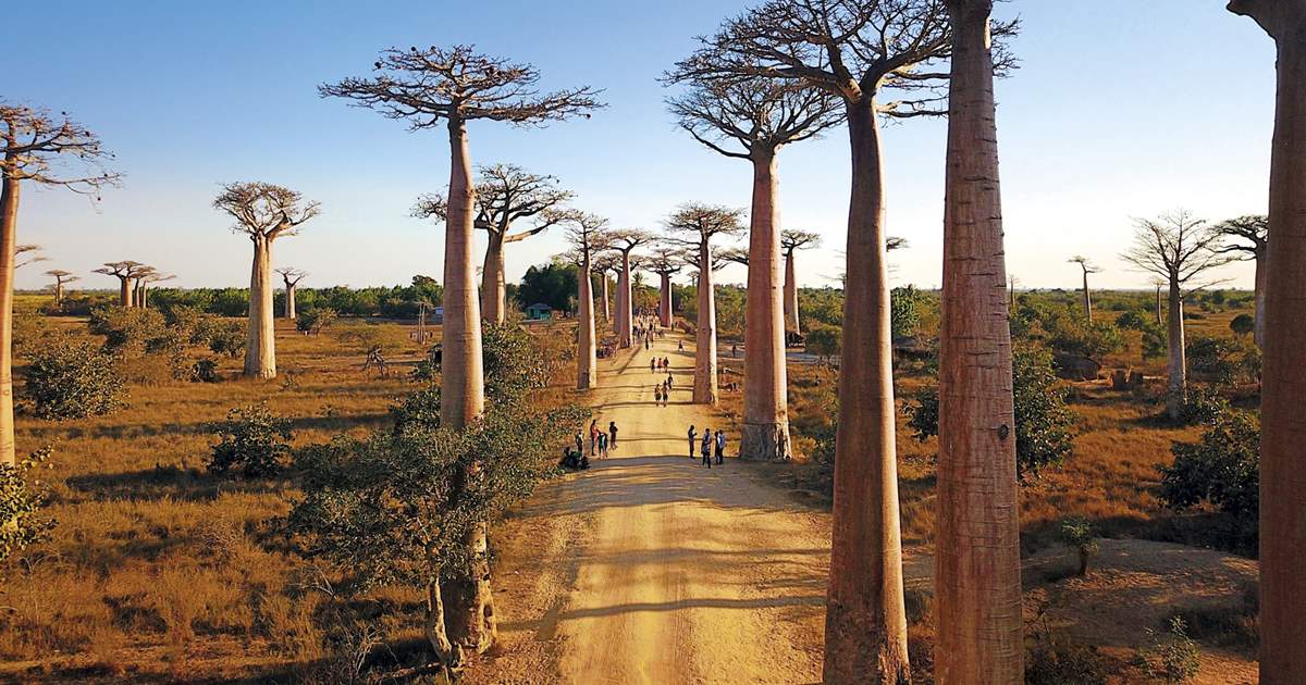 Madagascar es un mundo aparte