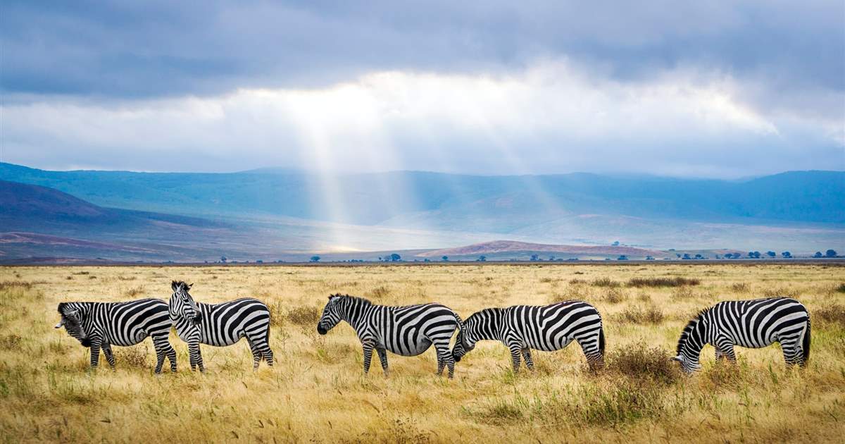El Valle del Rift: la gran fisura de África