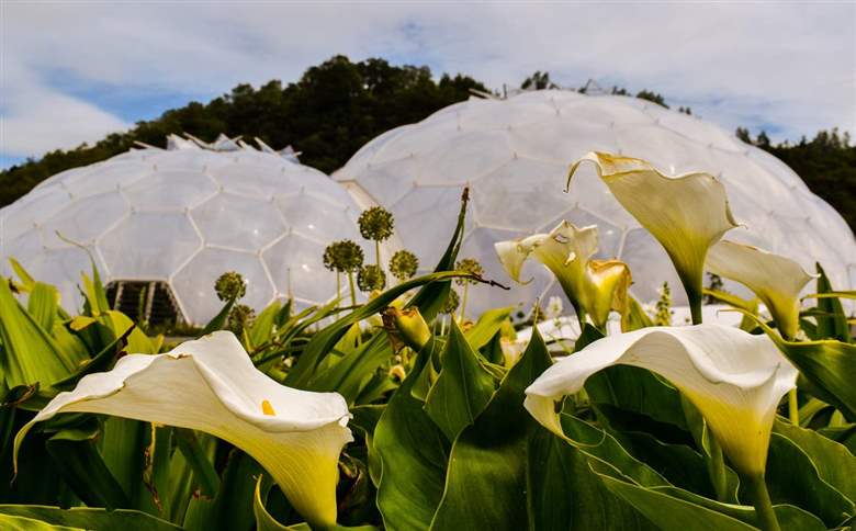 Eden Project, el oasis sostenible y educativo de Gran Bretaña