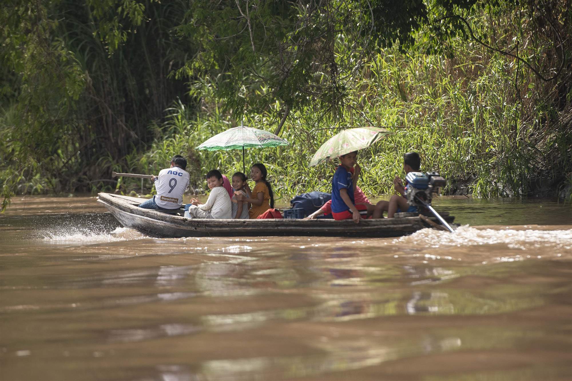 Viaje al Amazonas del delfín rosado