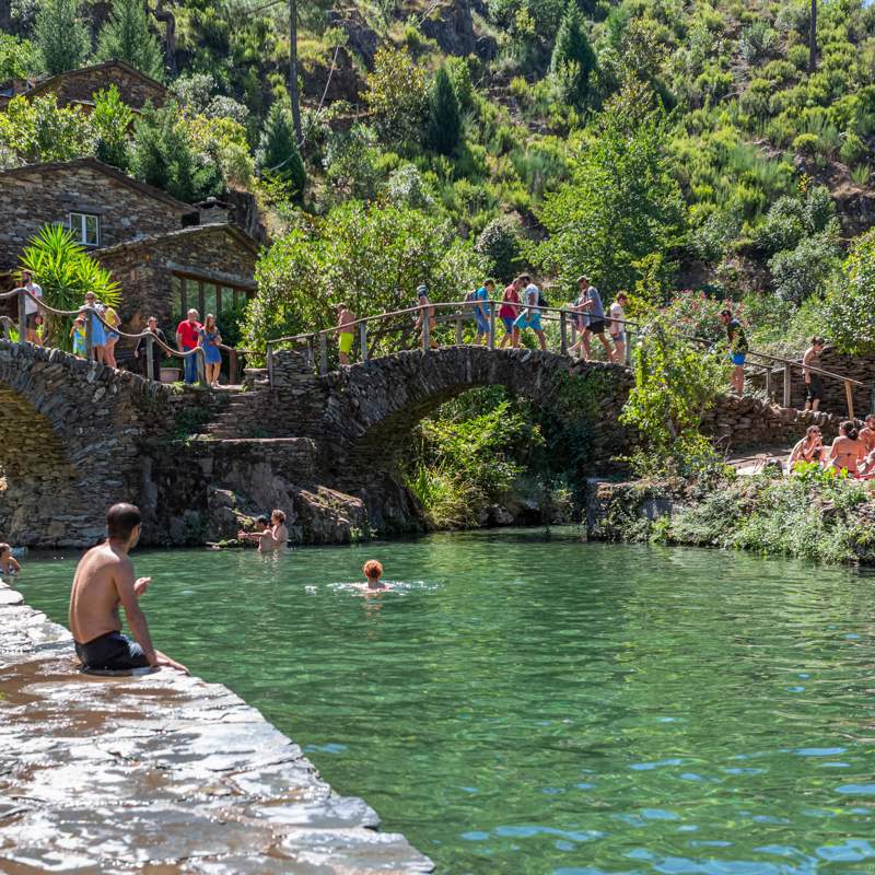 Raquel Cintra Pryzant