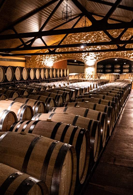 Ribera del Duero al completo: diez planes más allá del vino