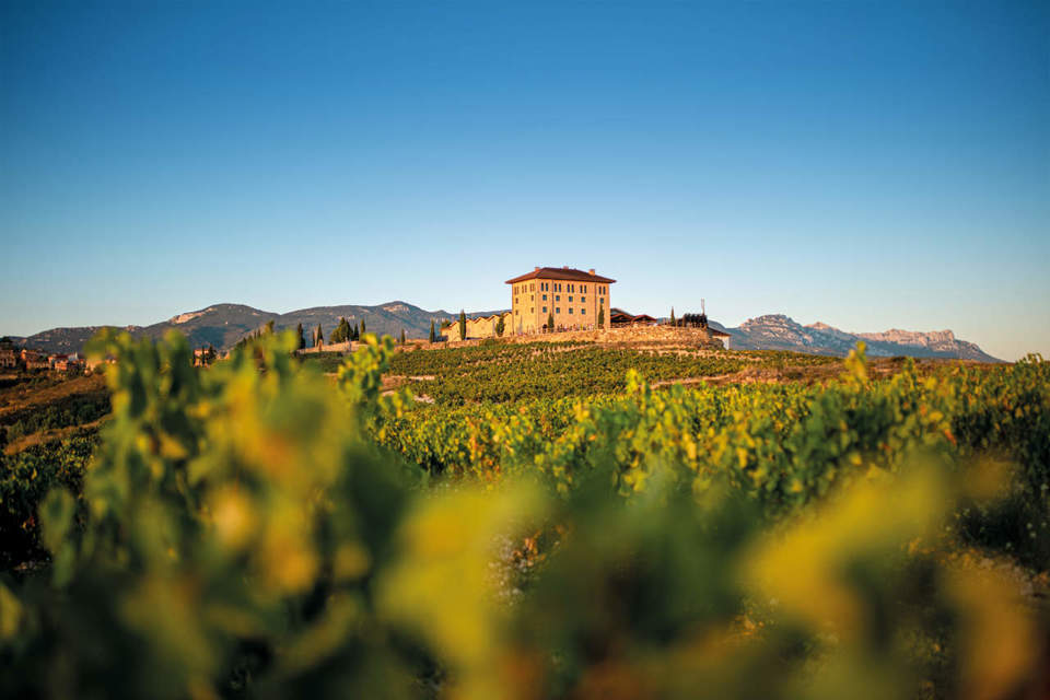 Las mejores bodegas de La Rioja para disfrutar del vino... y de mucho más