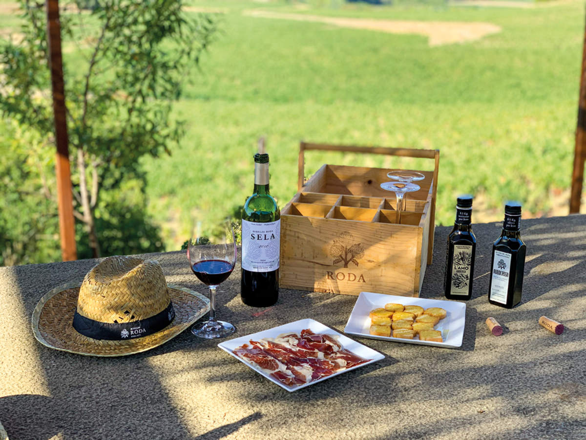Las mejores bodegas para visitar en La Rioja: un viaje a la raíz del ...