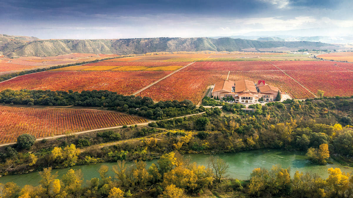 Las mejores bodegas para visitar en La Rioja: un viaje a la raíz del ...
