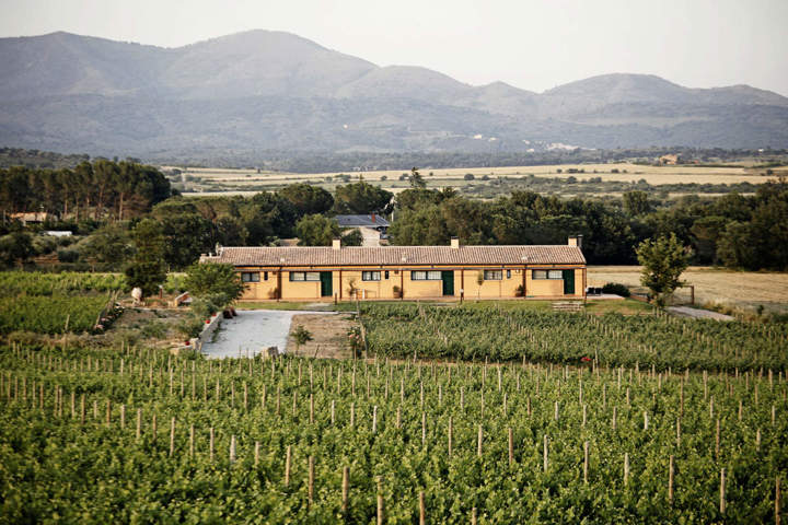 La Vinyeta, la bodega de Girona que desafió a todos a base de sabores ...