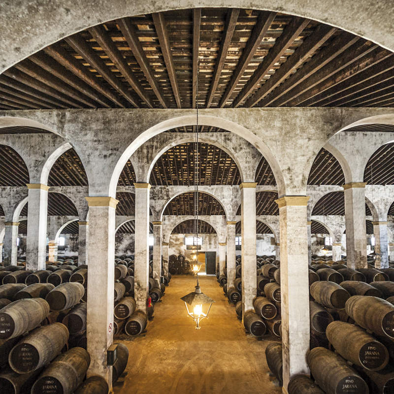 Óscar Checa Algarra