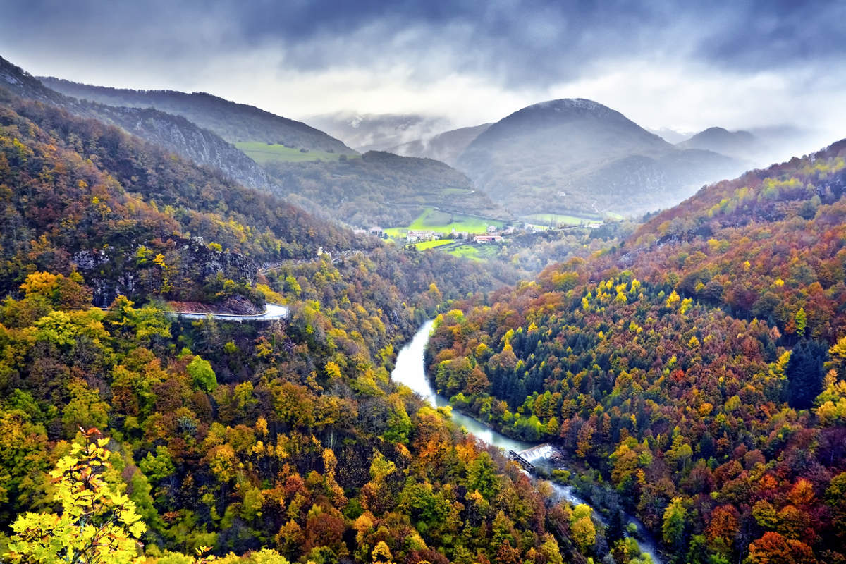 Selva de Irati: las seis rutas más bonitas para adentrarse en el ...
