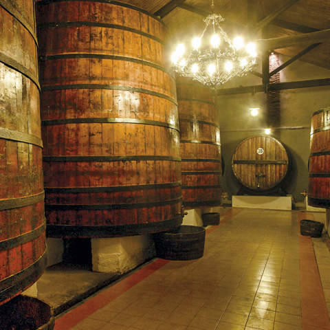 Óscar Checa Algarra