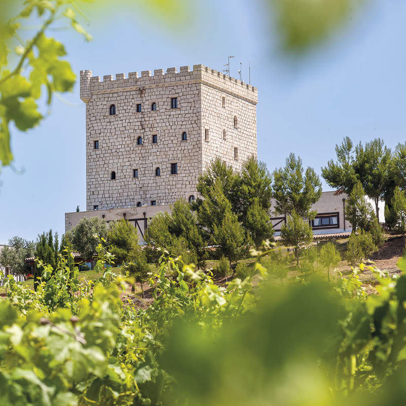 Óscar Checa Algarra