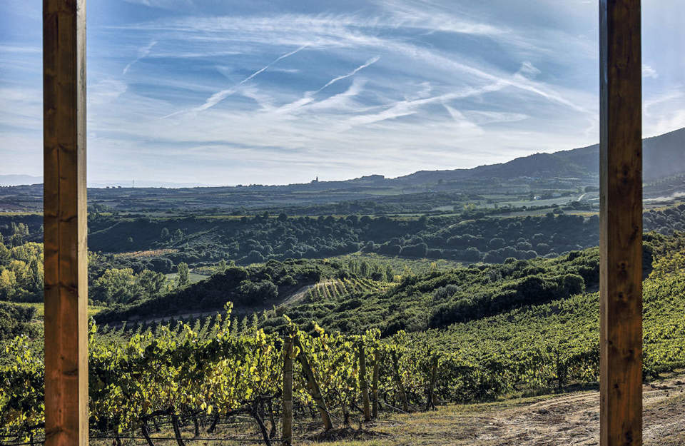 Las 14 mejores bodegas para visitar (y saborear) en Navarra