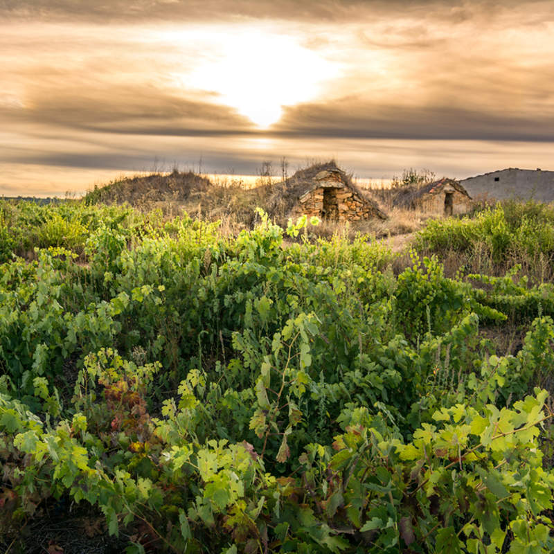 Óscar Checa Algarra