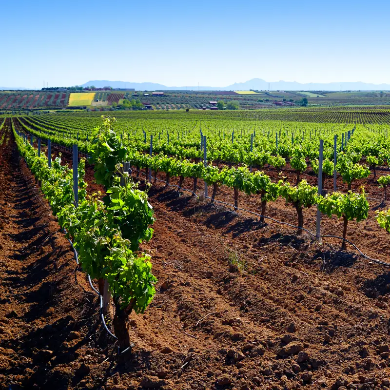 Óscar Checa Algarra