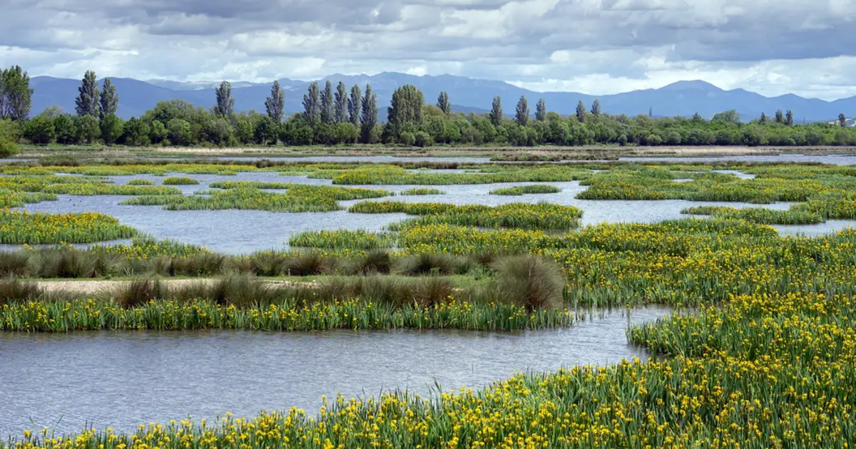 Cinco planes para disfrutar de Vitoria en clave sostenible