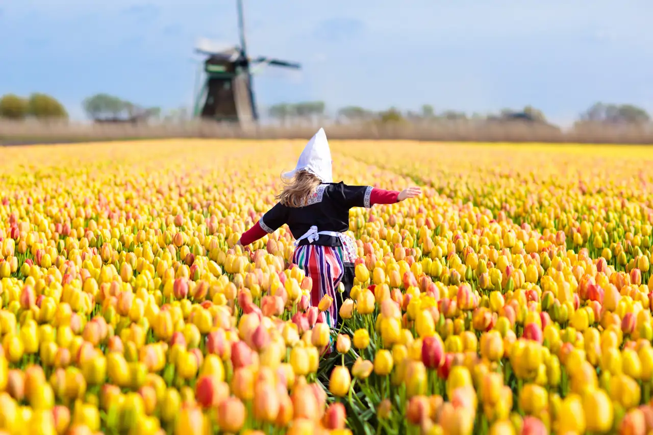 Keukenhof 2025: fechas y agenda del jardín que encarna la primavera en ...