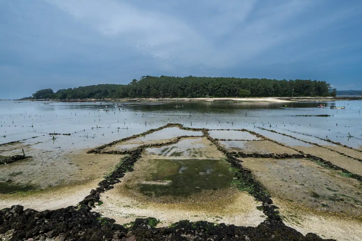 Cuando se puede visitar la isla de cortegada foto - Blackdragontours.com