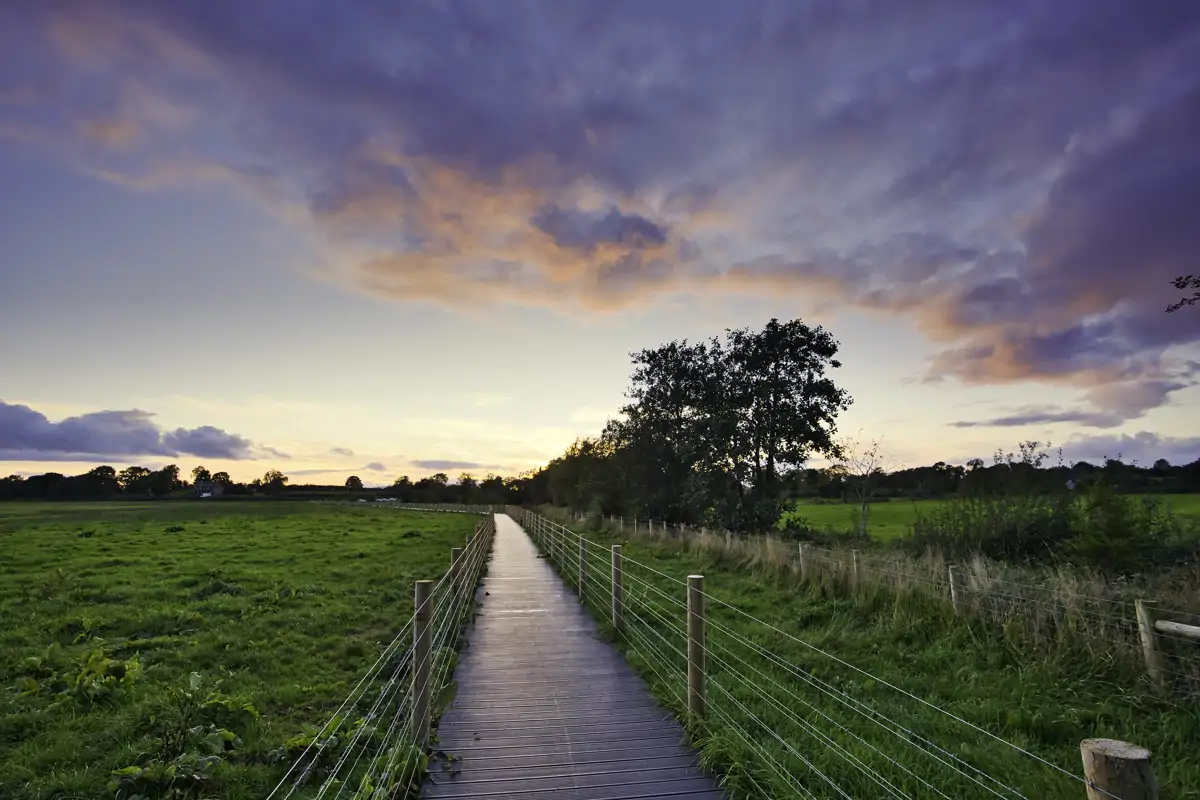 ¿Dónde, sino Irlanda? Este es el mejor museo del mundo dedicado a un poeta