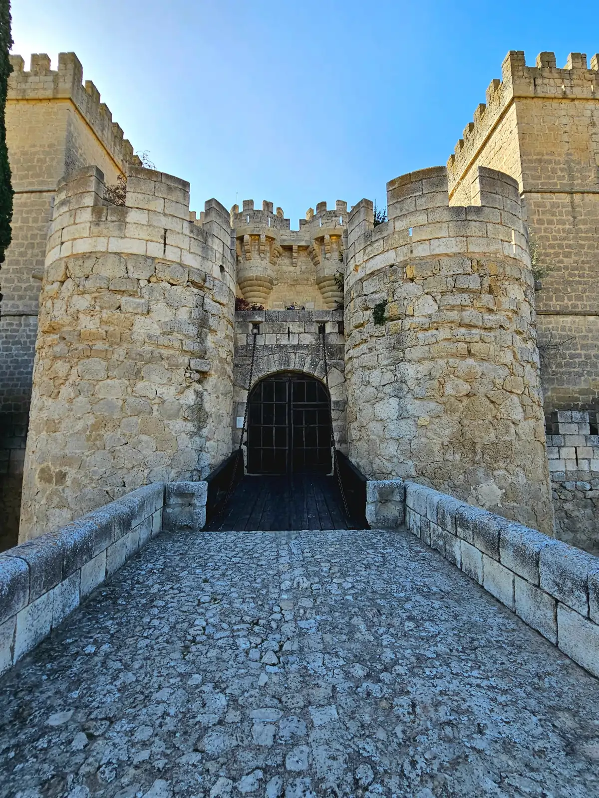 El castillo de Castilla y León donde se formalizó que Madrid sería ...