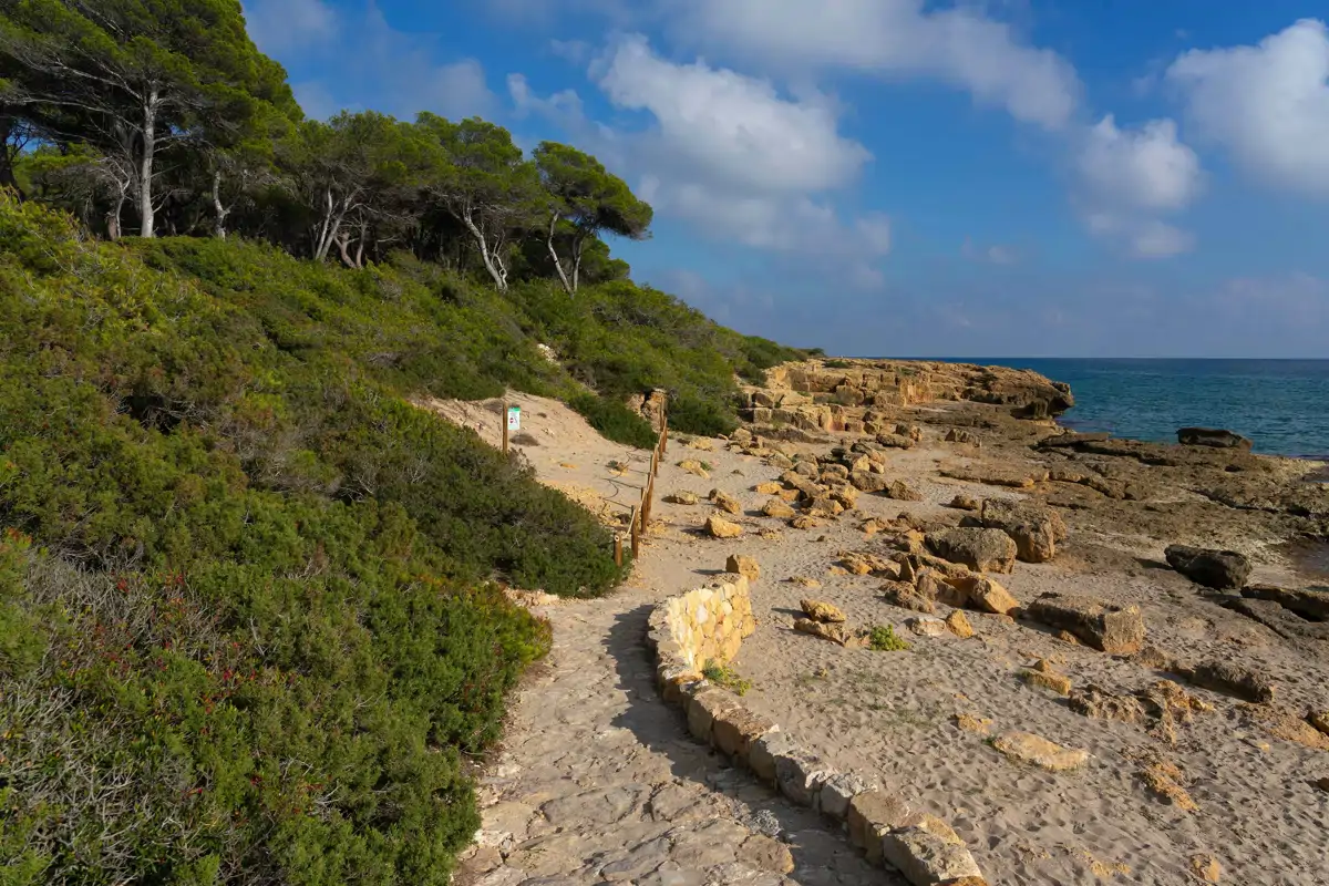 El desconocido camino de ronda de Cataluña que descubre calas, torres y ...