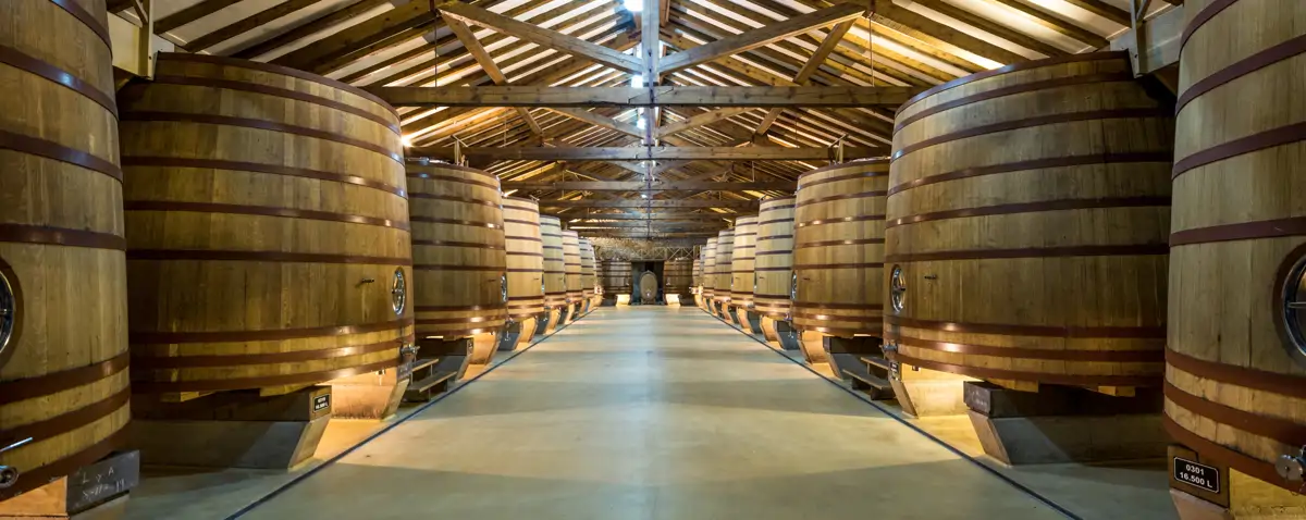 La bodega de La Rioja donde Jaume Plensa invita a viajar con los sonidos