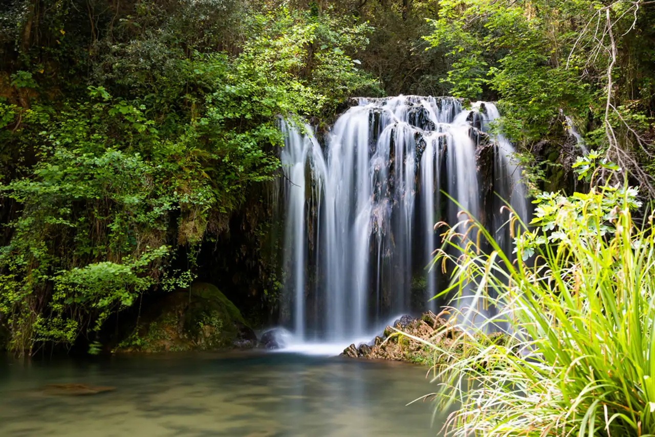 La curiosa cascada de Cataluña donde el agua cae de los árboles: "Ha sido protagonista de ...