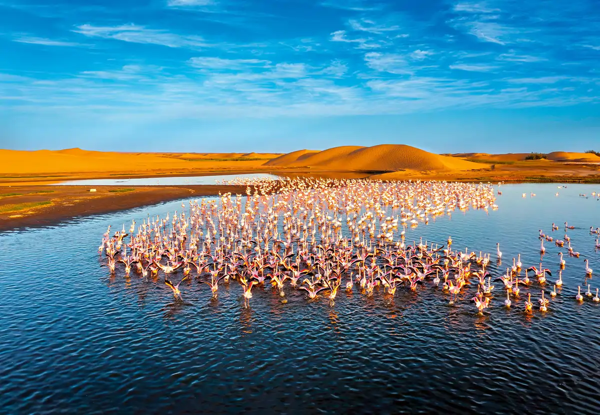 Viaje a Namibia, qué ver en el país más singular de África